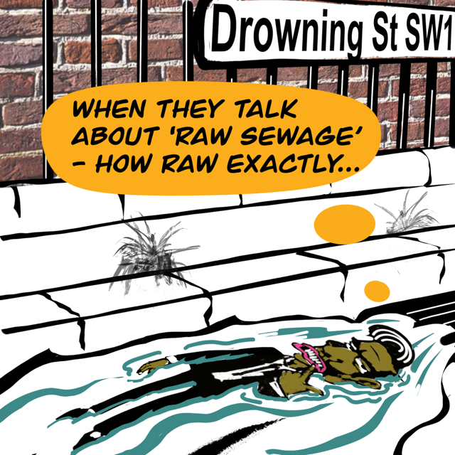 Monthly cartoon - Cornwall for Europe